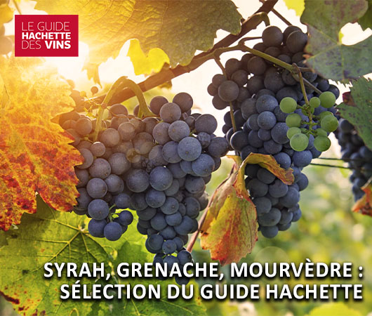 Hachette Vins Shop - Boutique officielle du guide Hachette